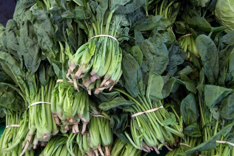 The GardenZeus Guide to Three Main Types of Garden Spinach