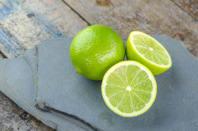 Complex, Tart and Bitter: The GardenZeus Guide to Lime Tree Varieties
